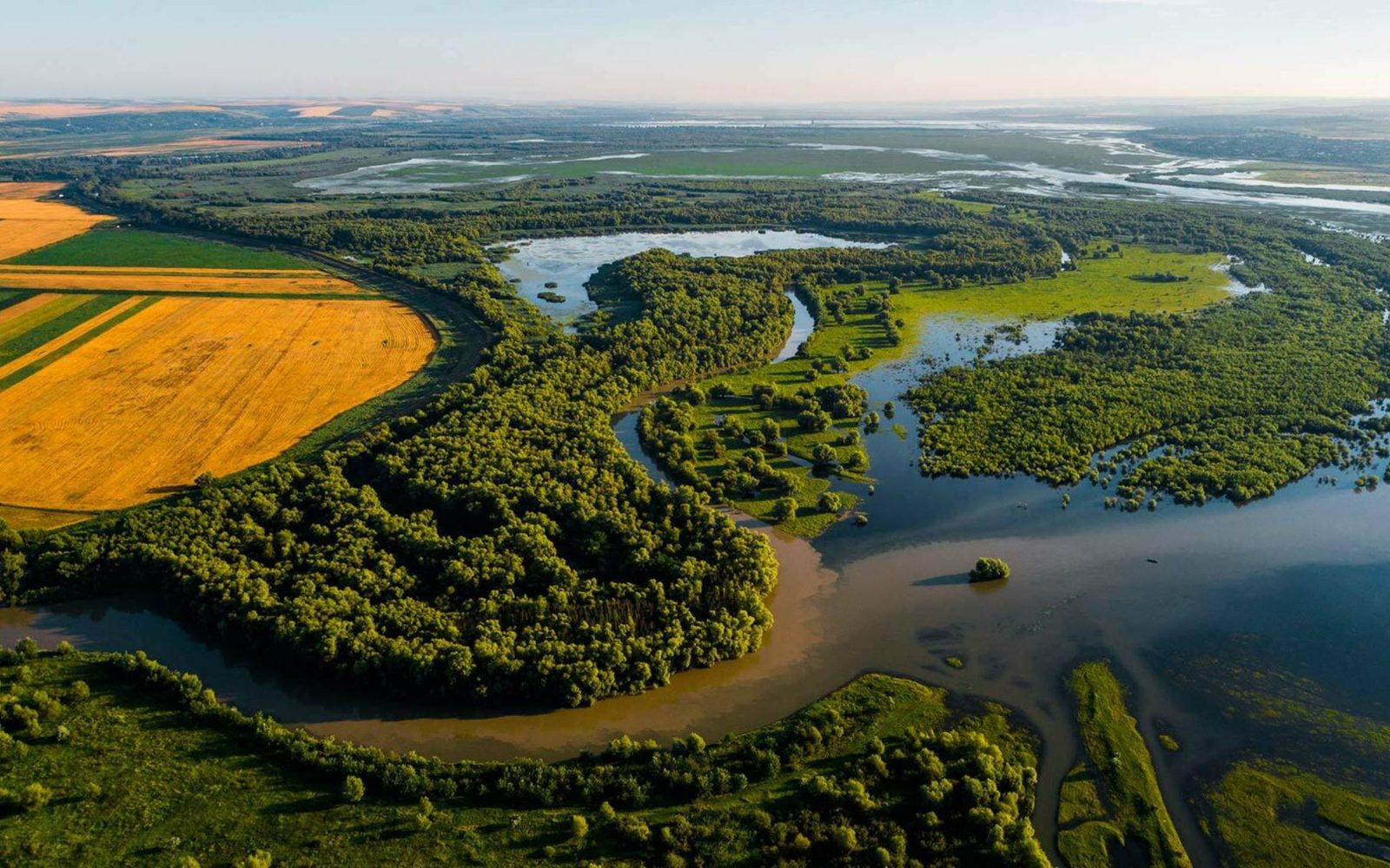 50 de hectare din zona lacurilor Manta și Beleu vor fi împădurite ...